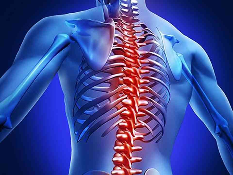 Higiene de la columna - Centro de Estudios Cafetales